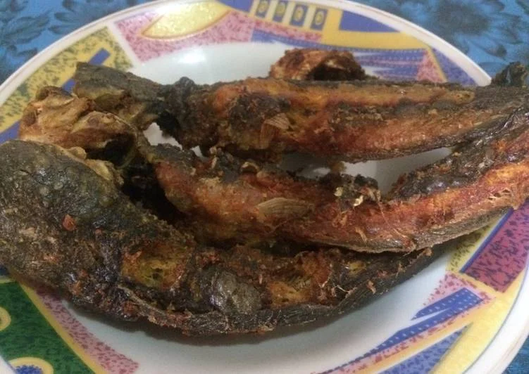 Resep Lele Goreng Krispi dan Gurih, Rahasia Bikin Keluarga Ketagihan ...